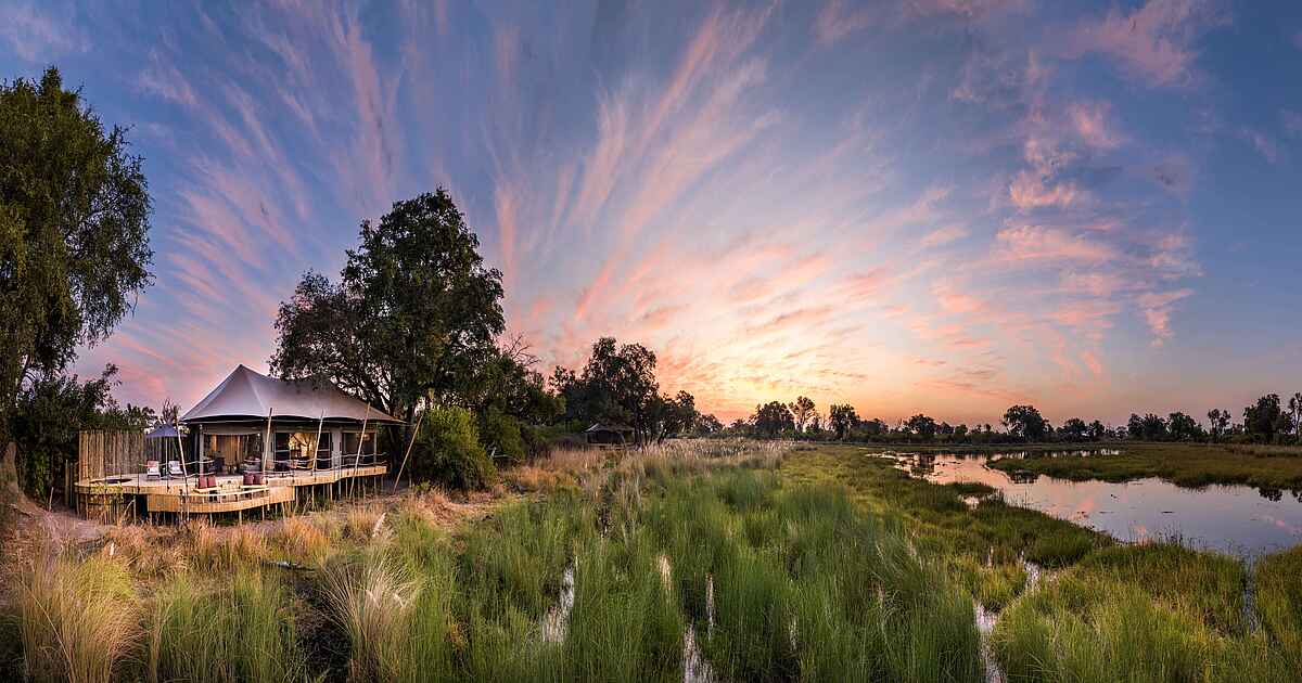 North Island Okavango Safari Camp, Okavangodelta, Botswana - Alle Infos ...