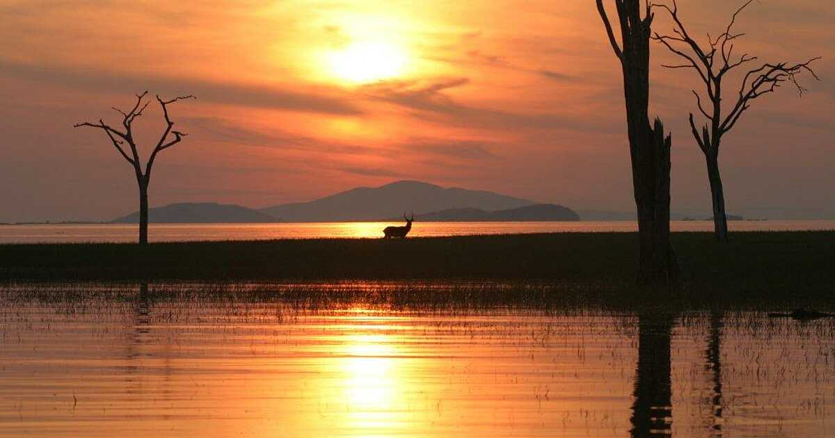 Musango Safari Camp, Kariba See, Simbabwe - Bilder & Infos bei AFRIKARMA