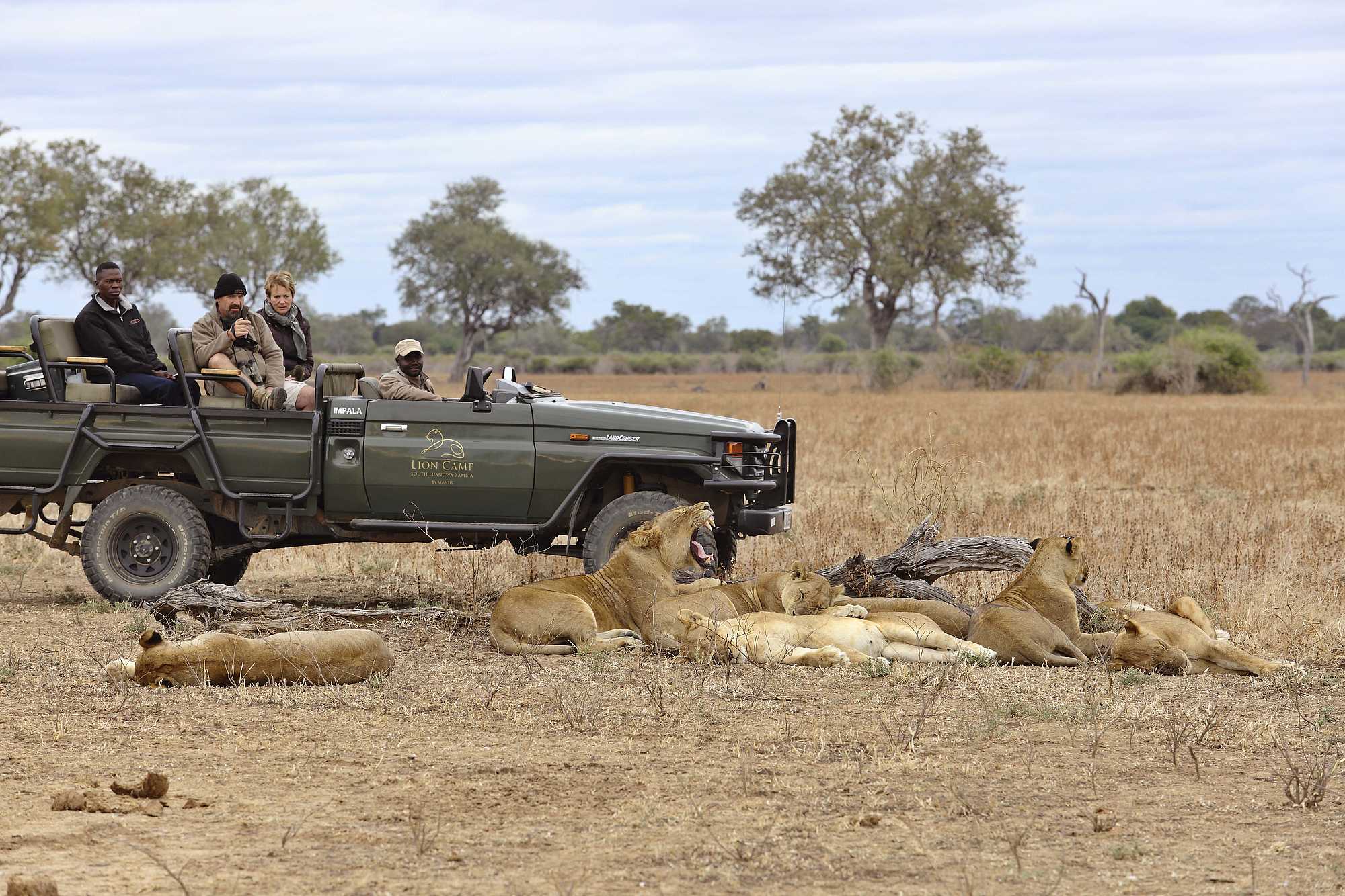 Lion Camp, Luangwa Tal, Sambia - Bilder & Infos bei AFRIKARMA