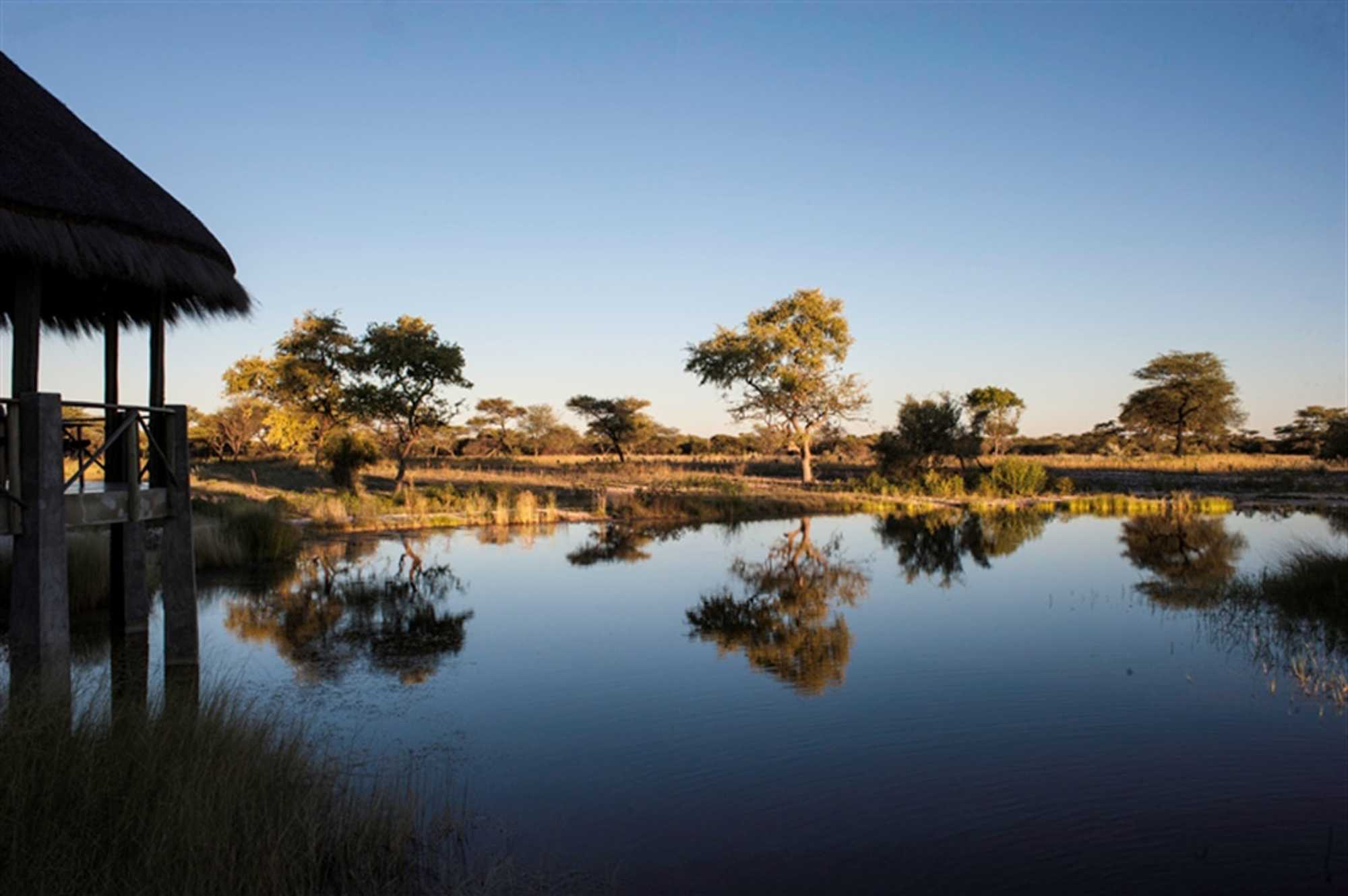 Onguma Bush Camp, Etosha, Namibia - Bilder & Infos bei AFRIKARMA