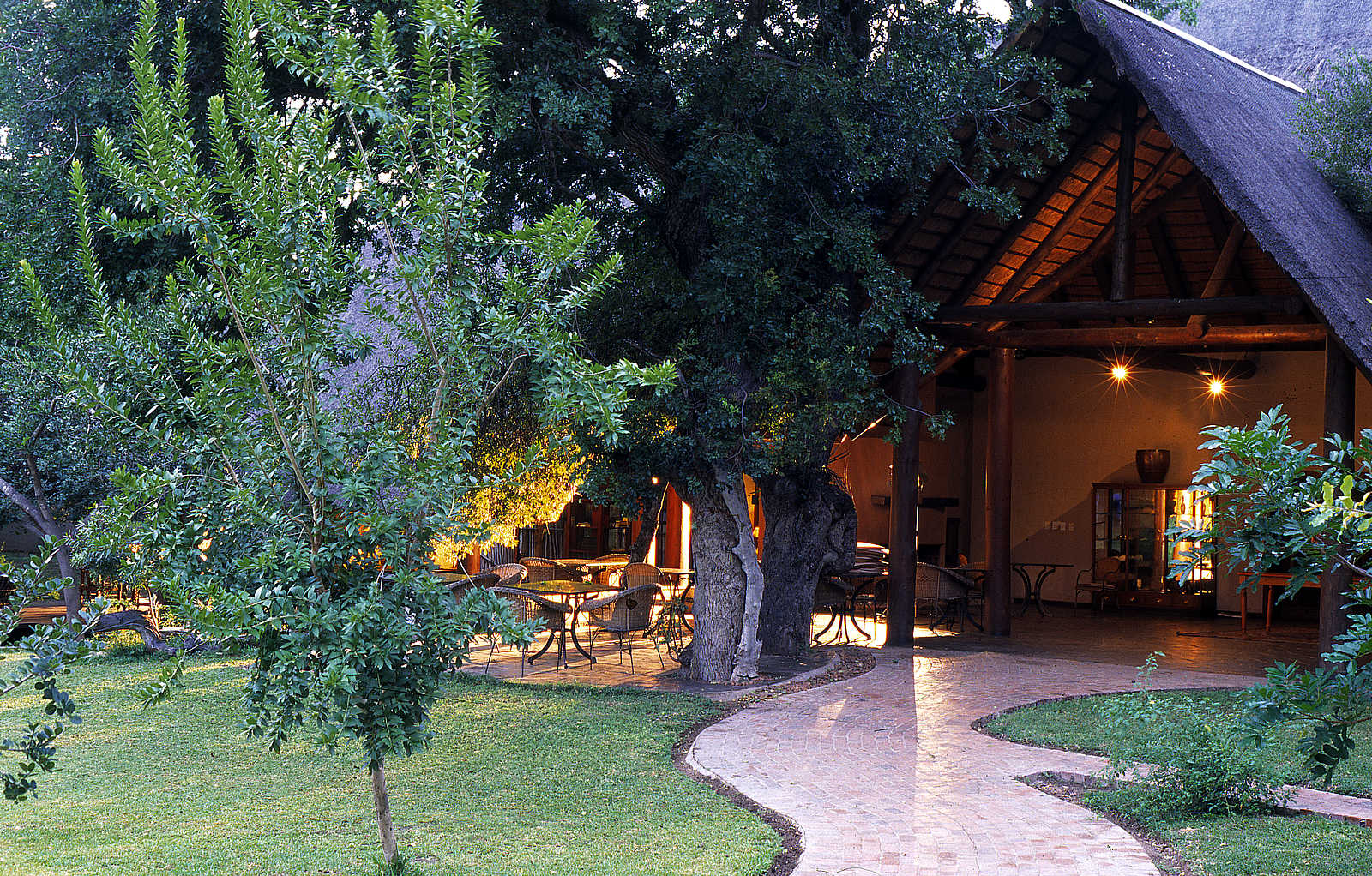 andBeyond Ngala Safari Lodge | Timbavati | Krüger Park