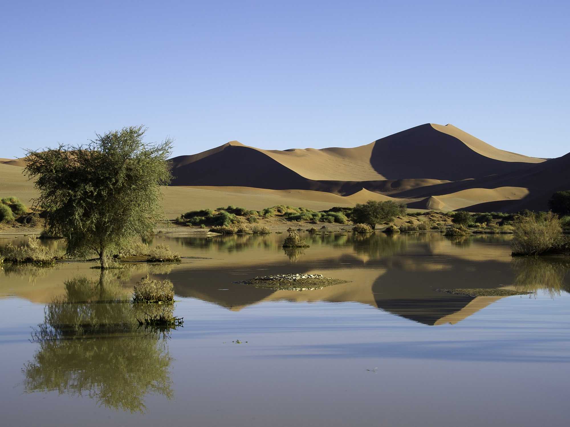 Little Kulala Lodge, Namib Naukluft Park, Namibia - Bilder & Infos bei ...