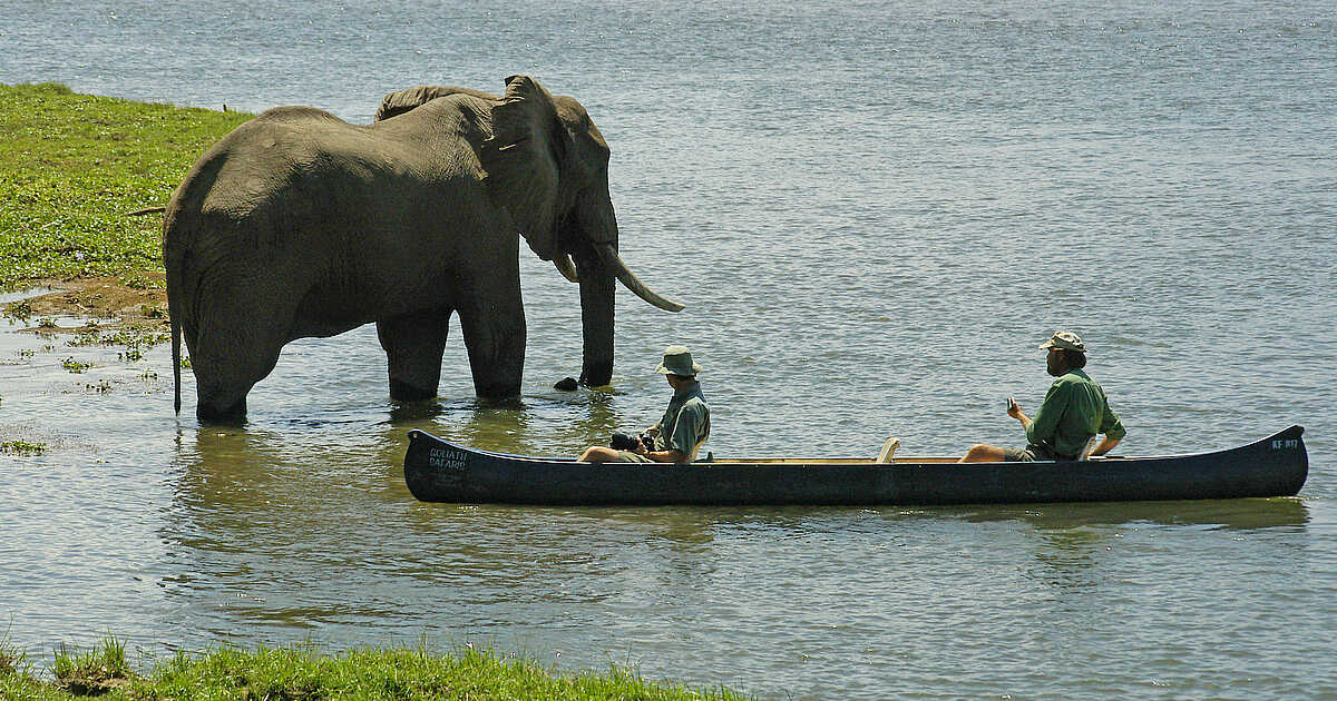 Goliath Tented Camp, Mana Pools, Simbabwe - Bilder & Infos bei AFRIKARMA