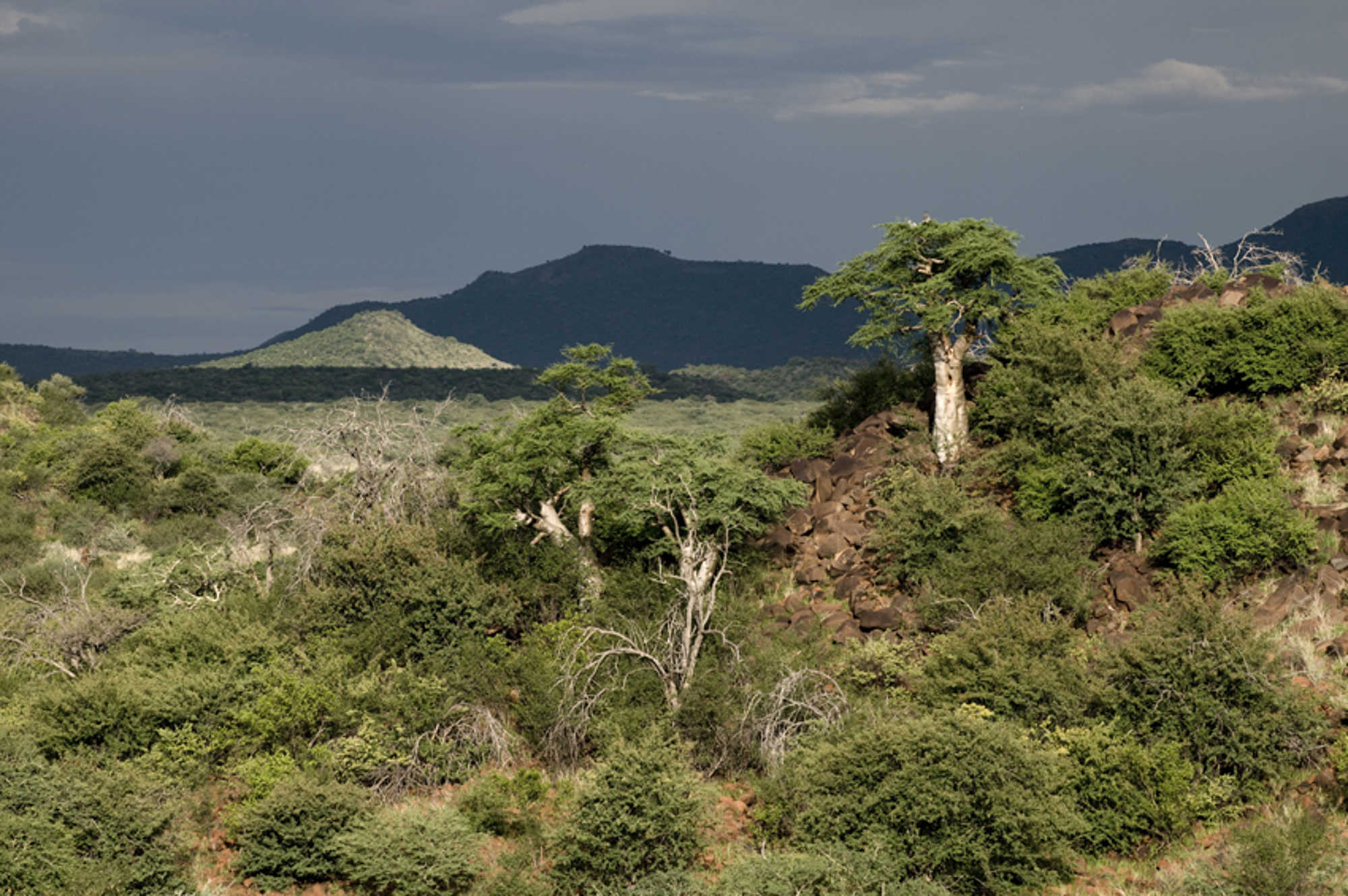 Erindi Game Reserve Old Traders Lodge, Zentrales Hochland, Namibia ...